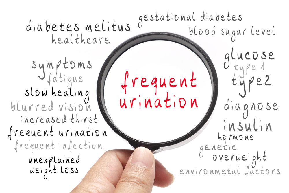 What Are The Causes Frequent Urination All Day Chemist