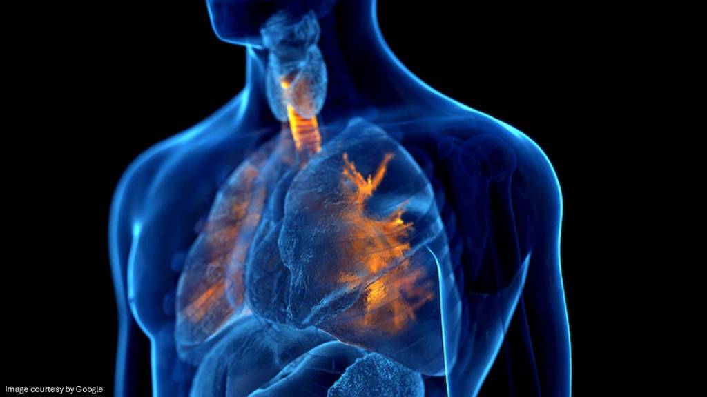 Asthalin Inhaler: Uses, Dosage & Side Effects | All Day Chemist